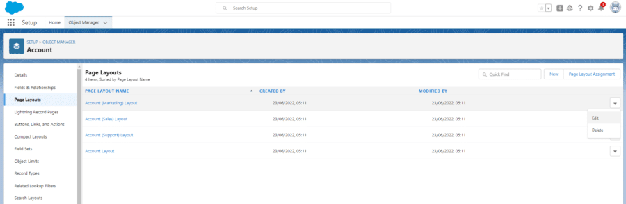 Where do the Fields and Sections from a Page Layout Appear when you ...