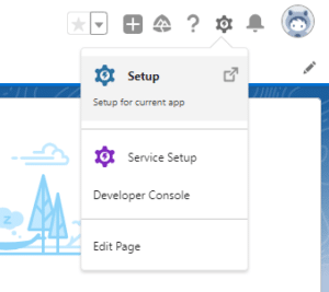 Salesforce API Version